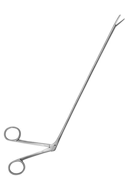 Alligator Forceps 10" - Serrated