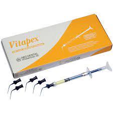 Vitapex Intro Kit | Sky Dental Supply