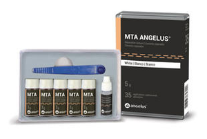 MTA (Angelus) | Sky Dental Supply