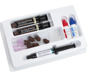 Core Paste XP (DEN-MAT) (DEN-MAT)